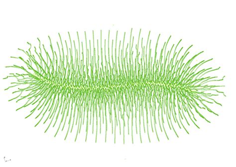 Madeincalifornia Co De Recursive Aggregation