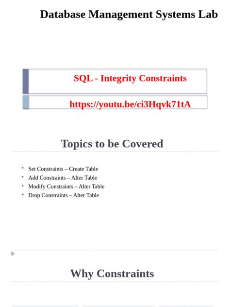 Integrity Constraints Pdf