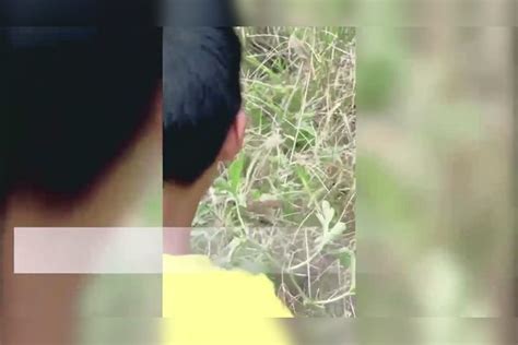 女子杂草地里发现2个野生大西瓜，网友羡慕有口福，切开懵了口福西瓜杂草