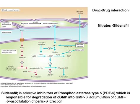 Pharmacology Antianginal Drugs Updated Ppt