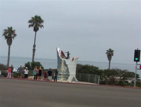 Encinitas Undercover Cardiff Kook Swallowed By Great White Shark