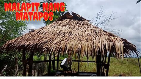 Bahay Kubo Ll Farm Life Youtube
