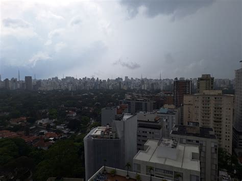 Temporal Derruba árvores E Coloca São Paulo Em Estado De Atenção
