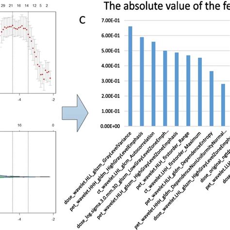 Feature Filtering By Lasso When The Dataset Was Divided Into Cen12