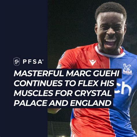 Performance Analyst The Pfsa