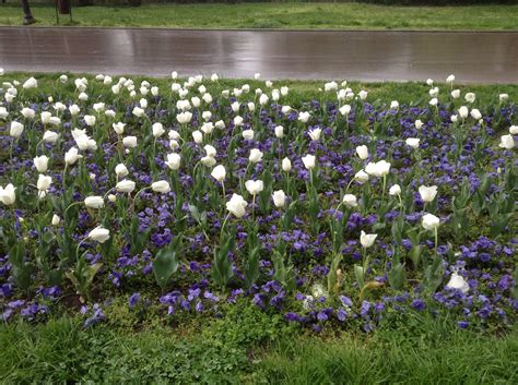 Строителна Строителна и ремонтна бригада Варна Бургас