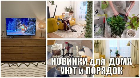 МЕЧТЫ СБЫВАЮТСЯ Новинки для ДОМА 🤩Про УЮТ и ПОРЯДОК в ДОМЕ ️Гармония и