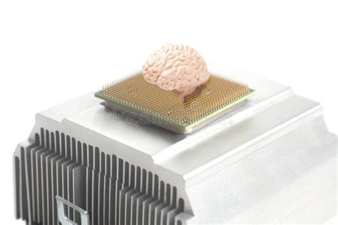 Modelo Anatómico De Cerebro Humano En Microchip De Procesador Cpu Foto