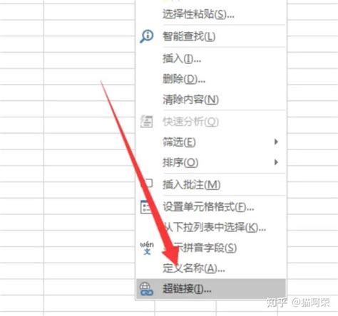 如何将excel表格中的图片链接直接显示成图片？