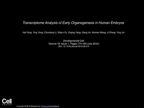 Transcriptome Analysis Of Early Organogenesis In Human Embryos Ppt