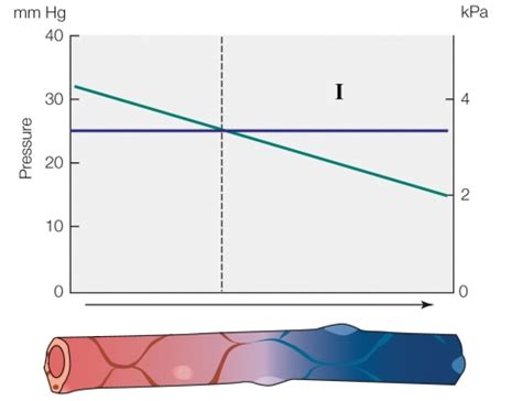 Refer To The Figure Shown Biology