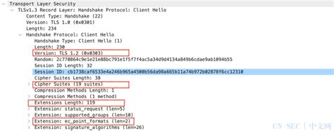 新型渗透工具sliver的流量特征分析与检测 Cn Sec 中文网