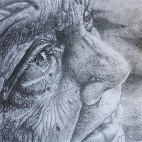 Portrait By Linabug Art On Deviantart