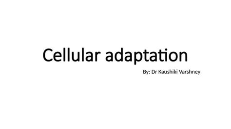 Cellular Adaptation Features And Examples Pptx
