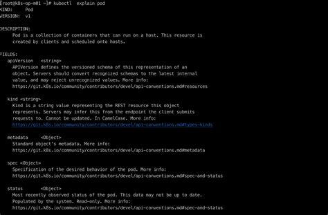 Kubernetes Kubernetes中pod的标准yamlpod Required Csdn博客