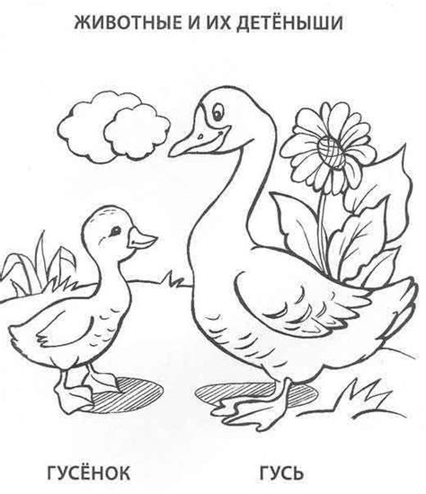 Раскраски "Животные и их детеныши" | МАМА И МАЛЫШ | Bird coloring pages ...