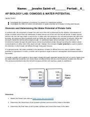 Investigation Osmosis And Water Potential Docx Name Jovahn Saint Vil Period Ap