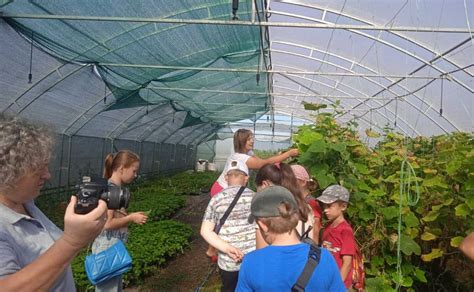 Шевченківські школярі відвідали з агро екскурсією теплицю