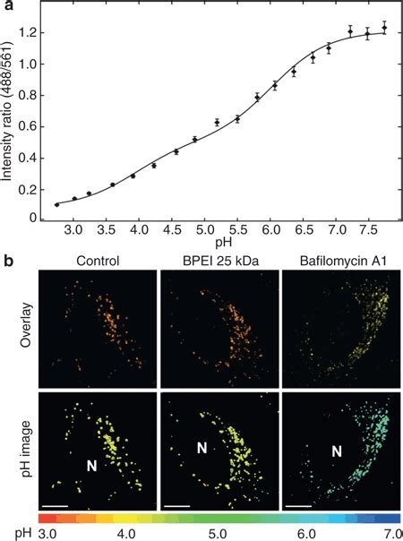 Calibration Curve Of Ph Nanosensor And Ph Measurements In Cells A In