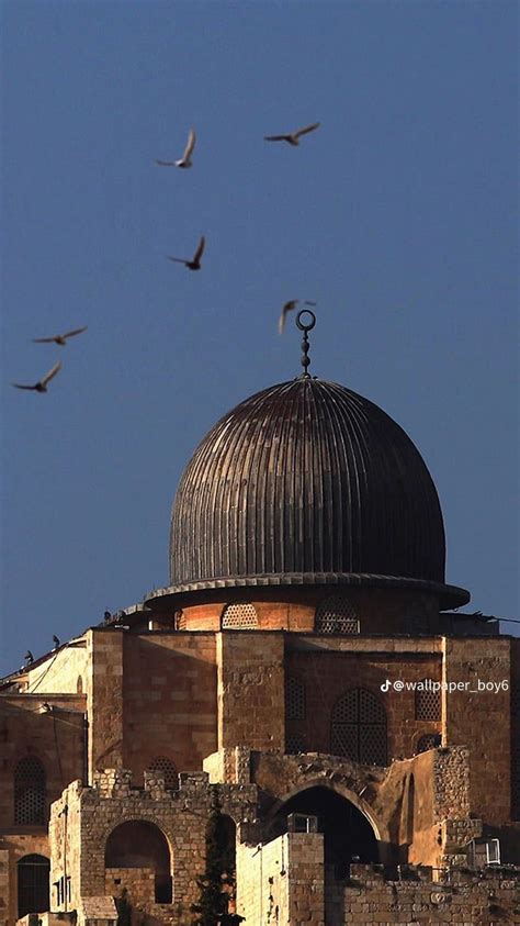 Faisal Malik On Linkedin Palestine Gaza Muslim Freegaza Alaqsa