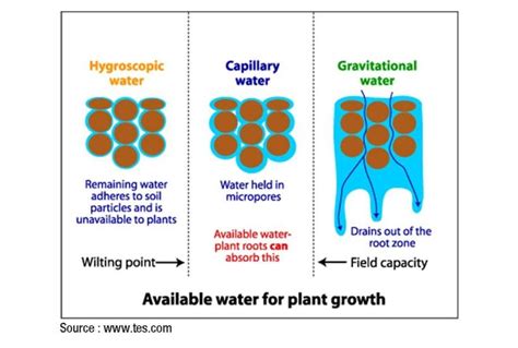 Water Retention By Soil Under Unsaturated Soil Condition Water Is Held