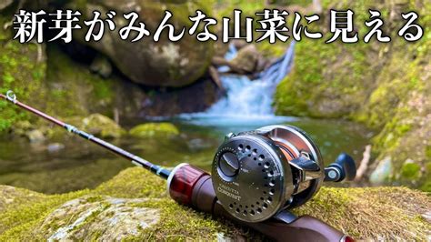 小さな沢でも足が届かないくらい深いところあったりする YouTube