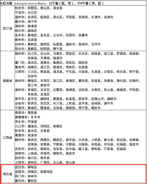 看到这种小土堆千万别踩 荆楚号 荆楚网 湖北日报网