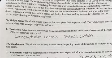 Red Knight Biology Monday Macromolecule Murder Mystery