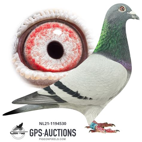 The Verkerk Collection Part 2 Gps Auctions