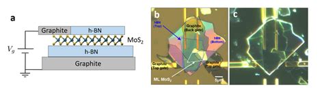 A Schematic Side View Of The Sample The Mos2 Monolayer Is