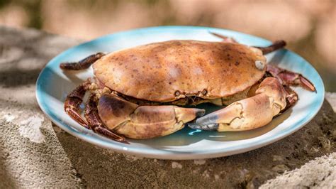 Crabs On Neanderthal Menu