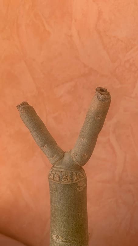 Официальное сообщество «adeniumboom Магазин растений и семян адениумов ВКонтакте — публичная