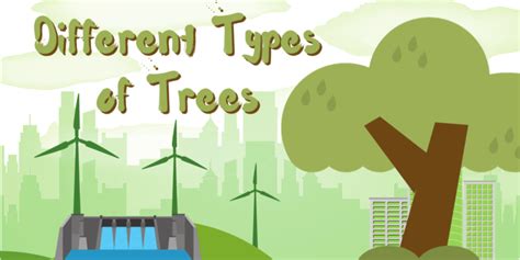 Different Types Of Trees Ultimate Guide July
