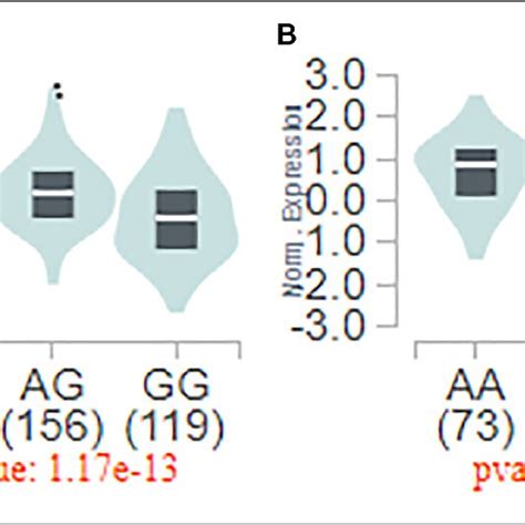 Graphs Showing Significant Influence Of The Polymorphisms A