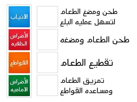 وظائف الاسنان התאמה