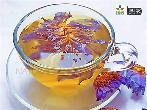 Egyptian Blue Lotus Flowers 100 Organic Whole Flowers And Etsy