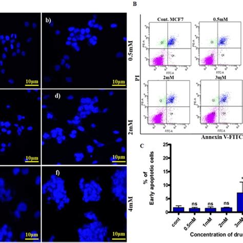 D Limonene Induces Apoptosis In Breast Cancer Cells A Mcf 7 Cells