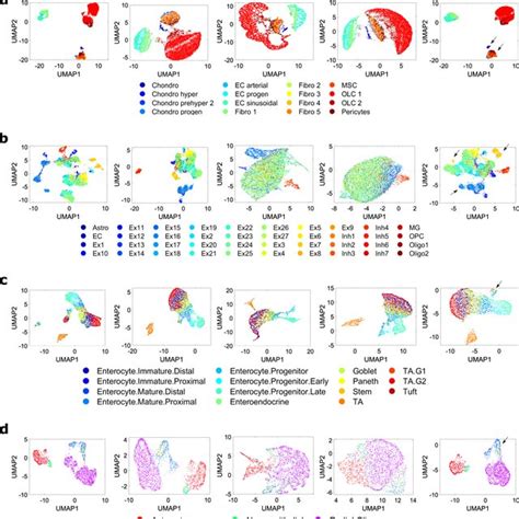 Low Dimensional Visualization Of Imputed Data From Various Methods Umap Download Scientific