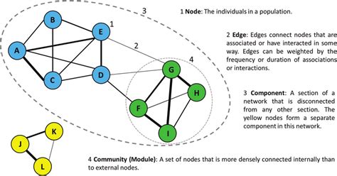 The Basic Components Of Social Network Structure Download Scientific