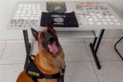 GCM e PM prendem homem em flagrante por tráfico de drogas 102FM Todo