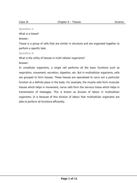 Tissues Class 9 Cbse Pdf Tissue Biology Epithelium