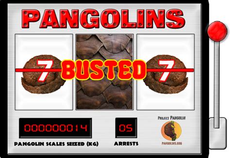 Junk Shop Fronts Illegal Pangolin Trade Operation Arrests Made