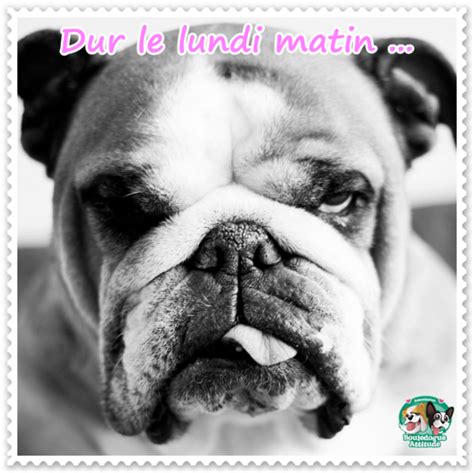 Dur Le Lundi Matin Centerblog