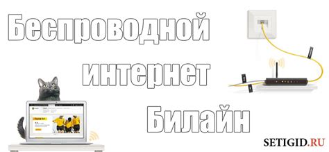 Как подключить беспроводной интернет Билайн для компьютера или ноутбука ...