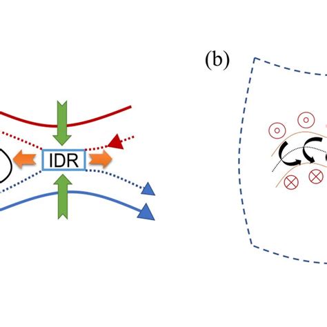 Panel A Shows A 2d Cross Sectional Slice Slice Across The Fte Axis