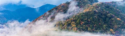 Kumano Kodo Self Guided Walking 4 Days Jtb Travel