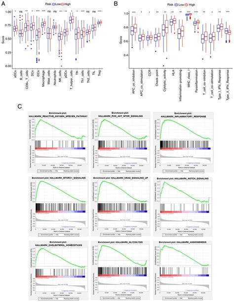 Results Of Single Sample Gsea And Gsea Analyses For The High And Download Scientific Diagram