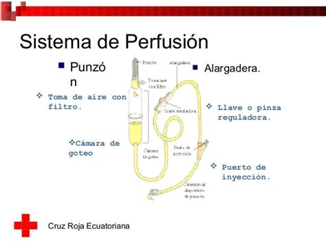 Administraciòn De Farmacos