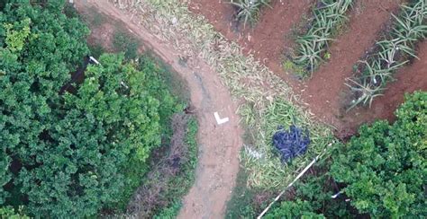 a comprehensive guide to using ground control points for drone