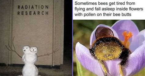 40 Peer Reviewed Funny Science Memes That Deserve A Nobel Prize In